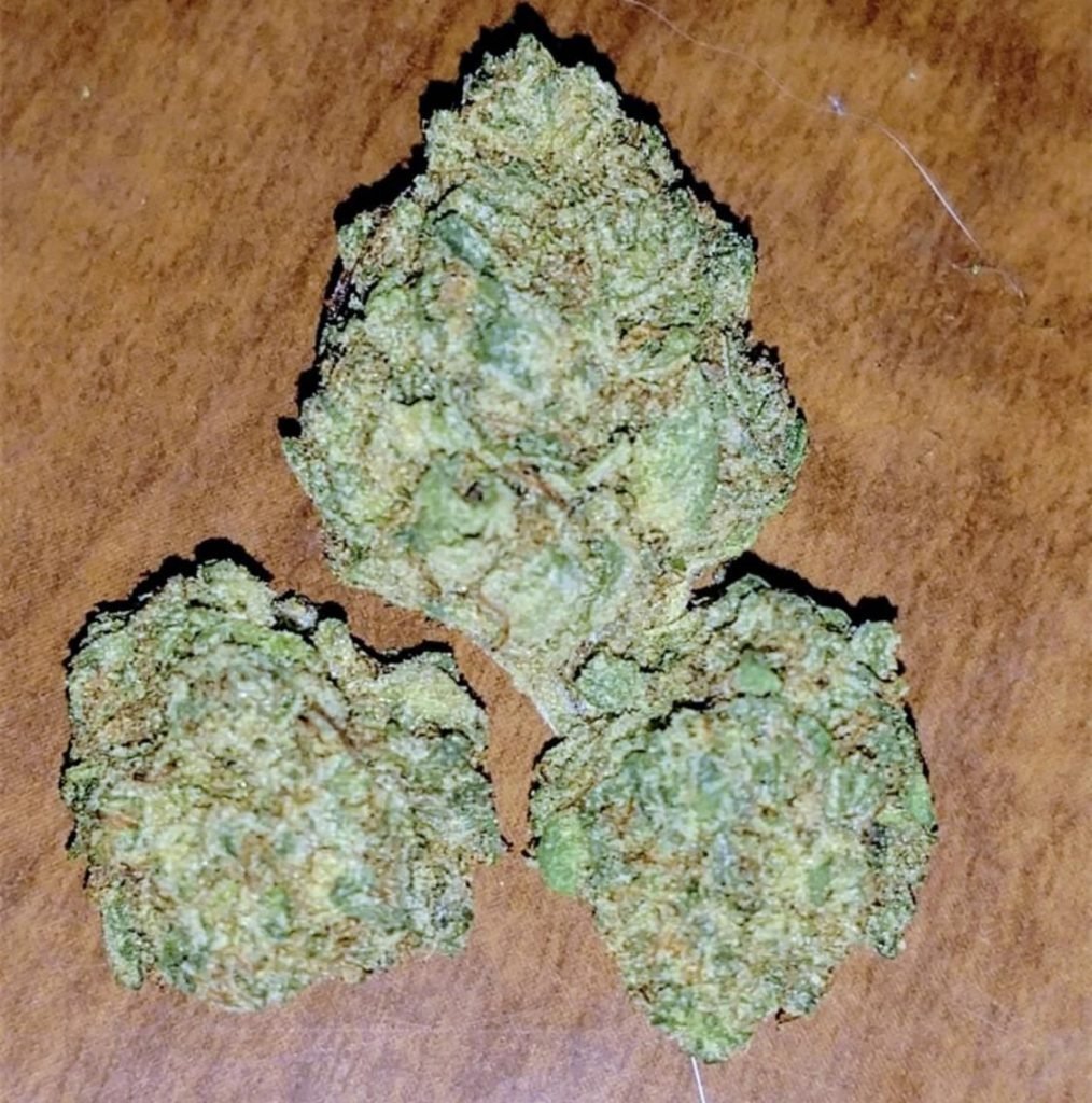 Alaskan ThunderfucK - Dr.Feel Good